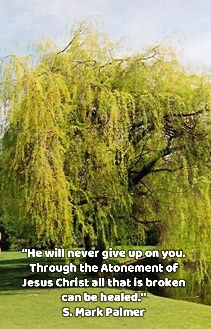 APRIL 2025 SATURDAY AFTERNOON GENERAL CONFERENCE SESSION – B.O.M.Socks